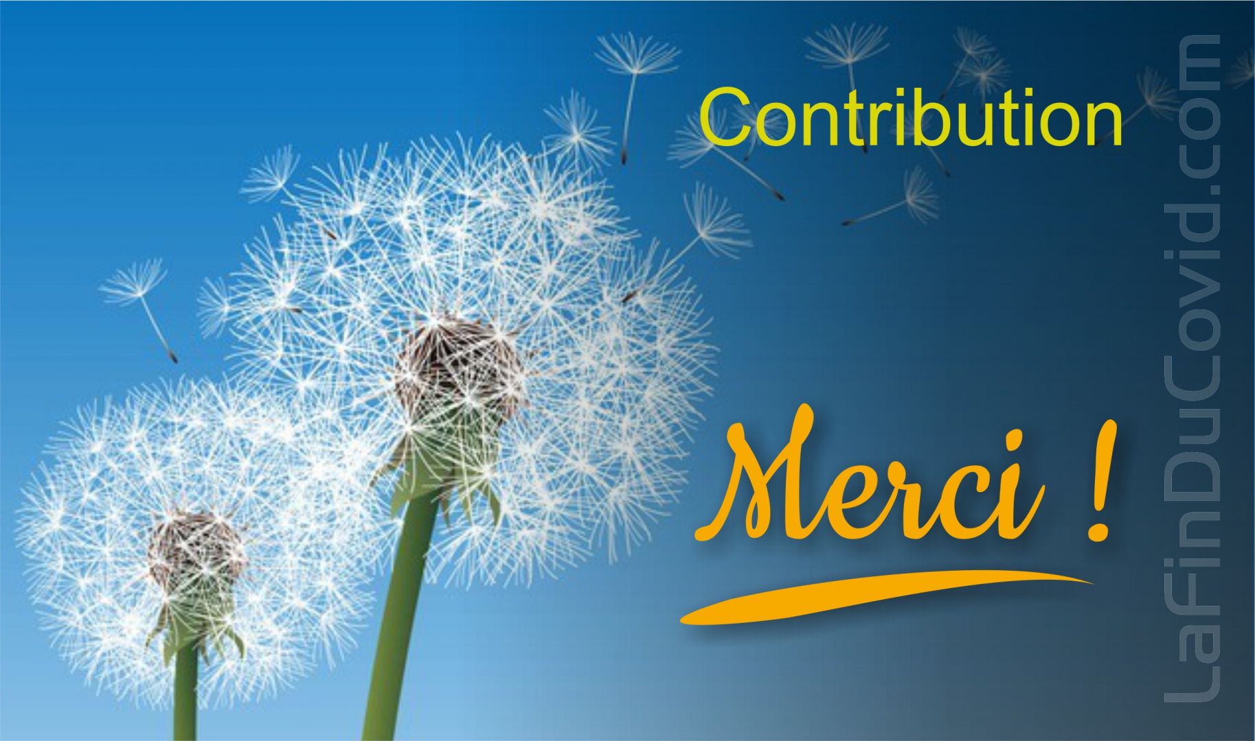 La Fin du Covid -- Contribution volontaire
